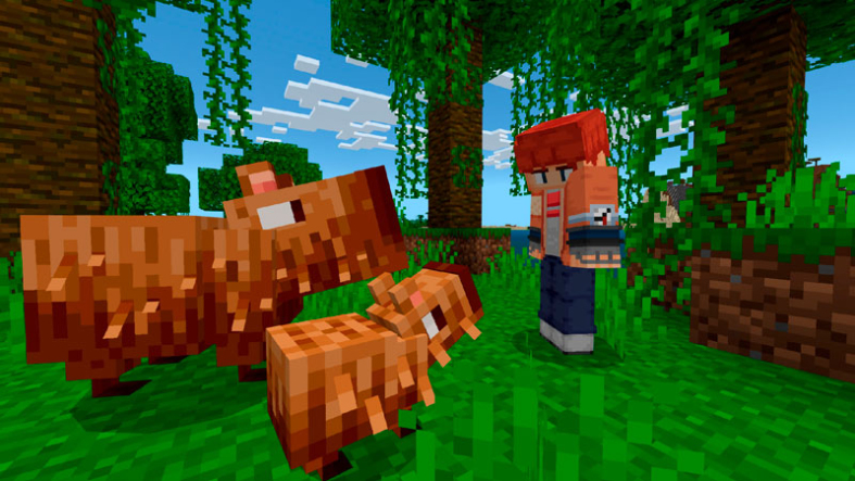 Biome Pets - Logdotzip Games